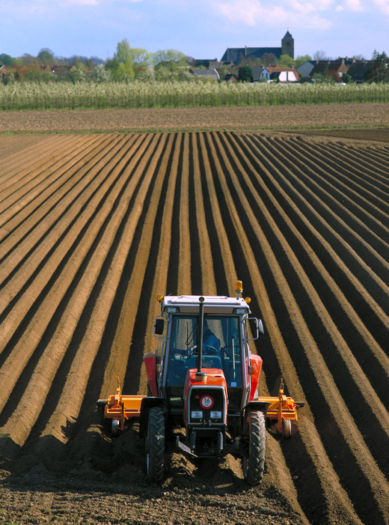 Tussen Korne en Lek, door de rivieren gevormd gebied (18 km) - Struingids